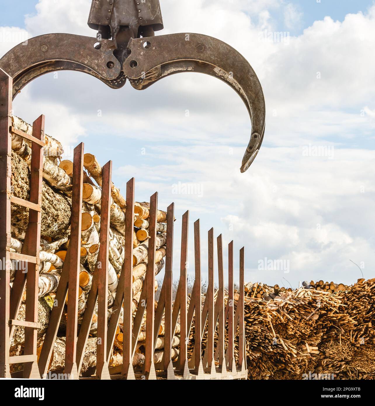 Log loader or forestry machine loads a log truck Stock Photo - Alamy