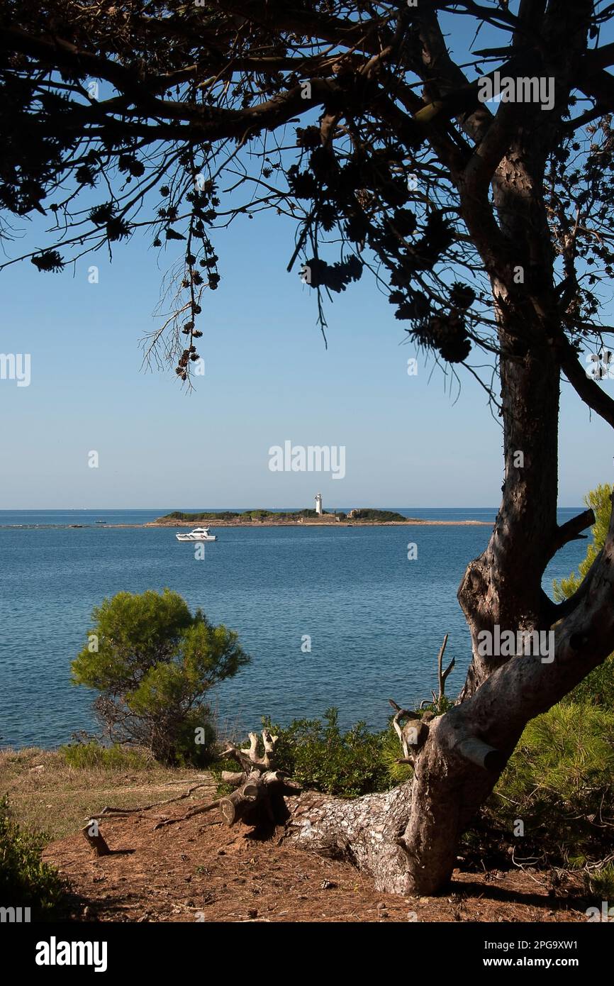 punta licosa, castellabate, salerno, campania, italia Stock Photo - Alamy