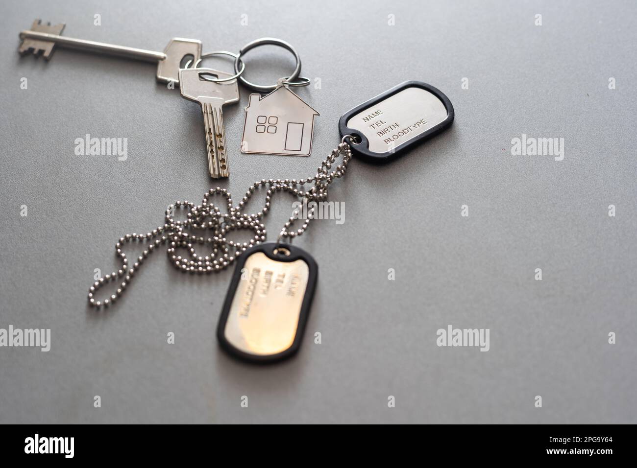 Military Silver Dog Tags on a Small Key Chain Isolated on White ...