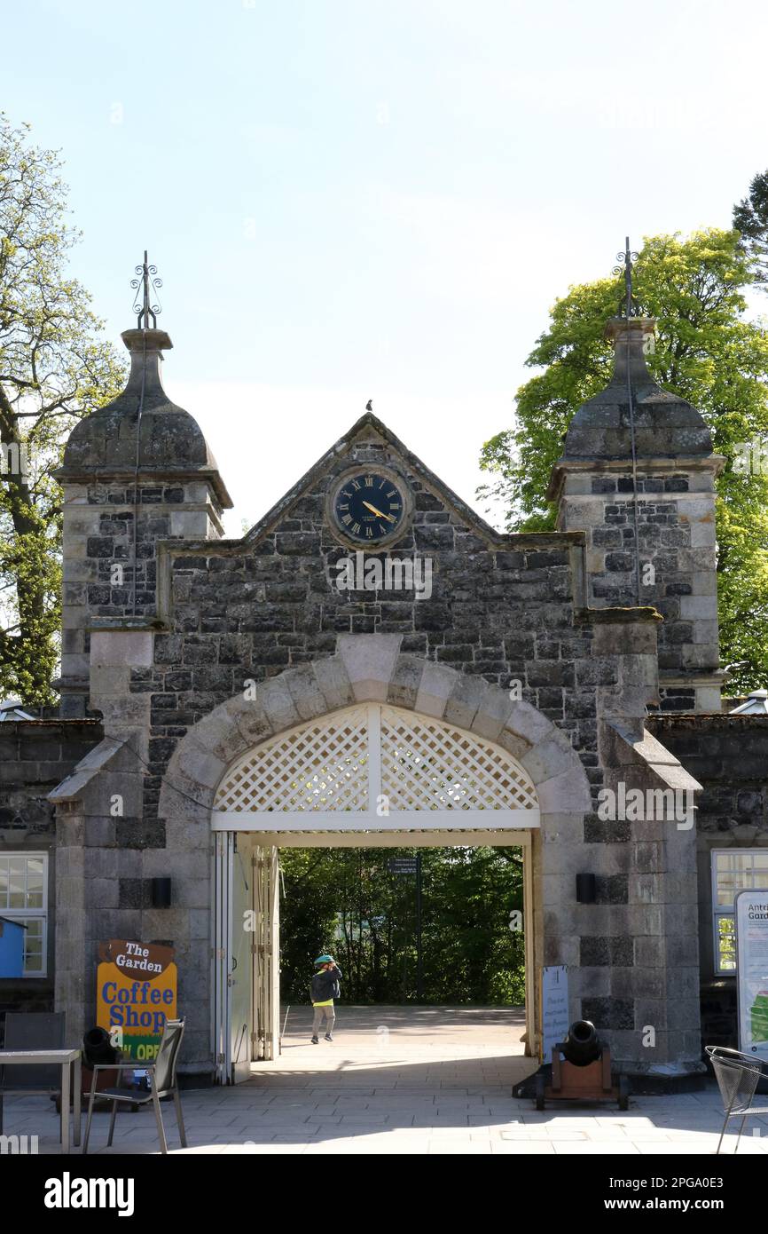 Child in spring ireland hi-res stock photography and images - Alamy