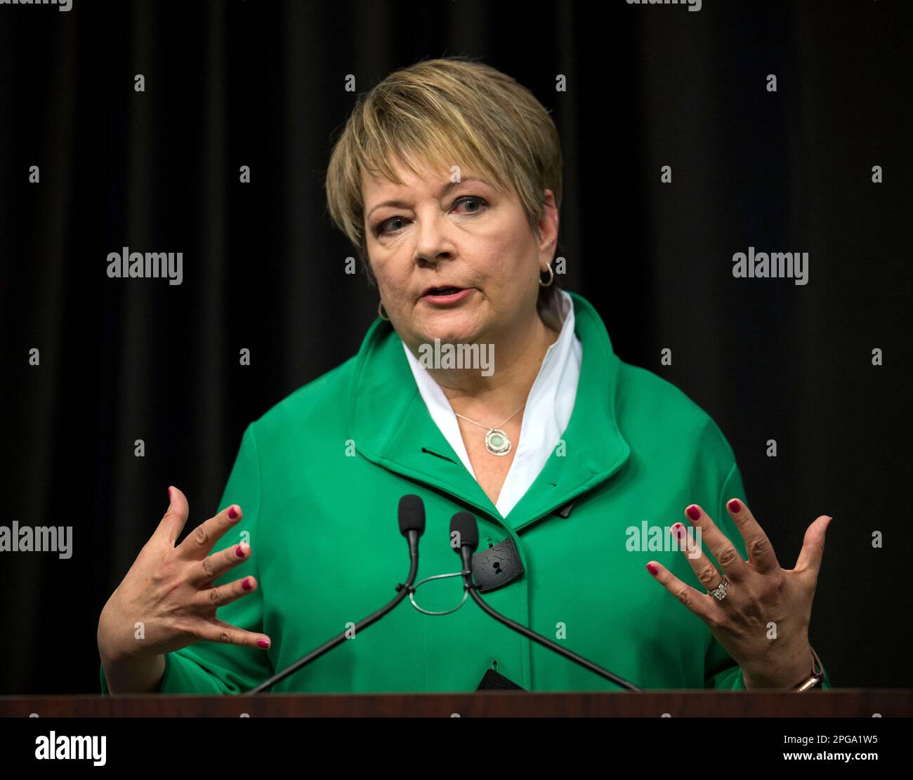 Janet protasiewicz hi-res stock photography and images - Alamy