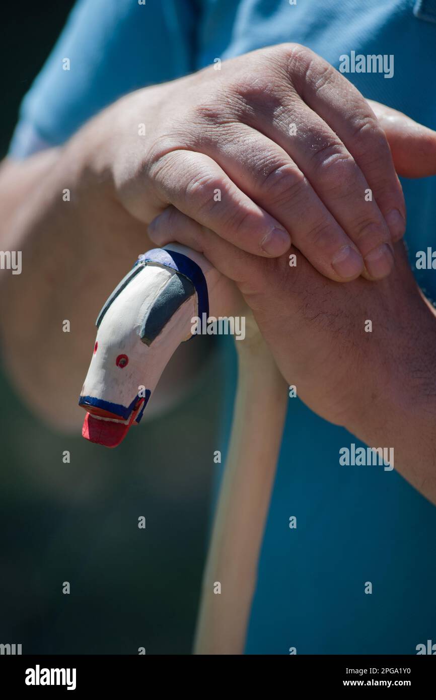 Particolare hi-res stock photography and images - Alamy