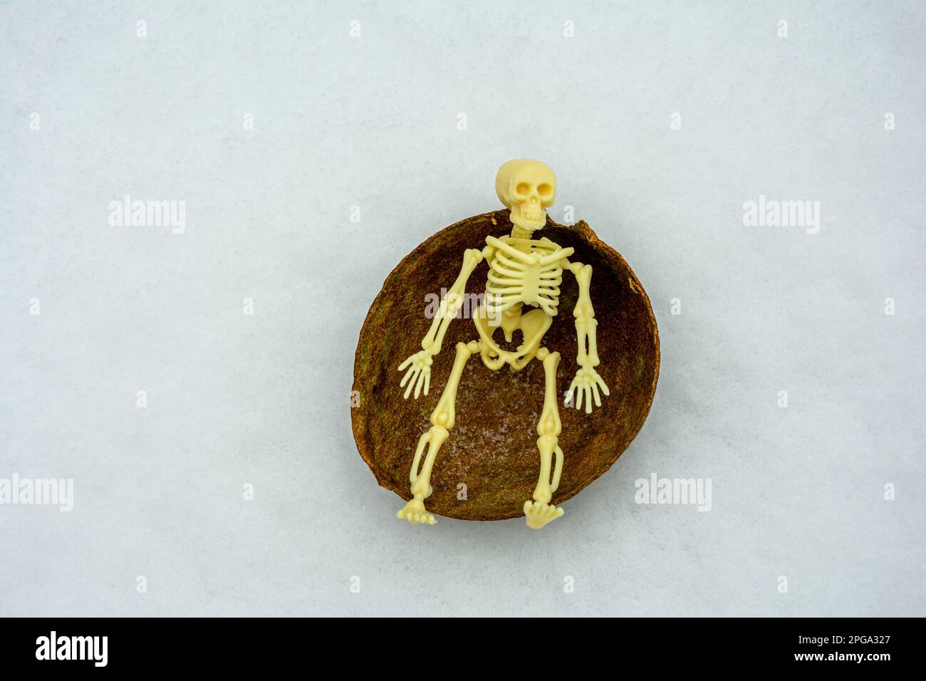skeleton rides on the hemisphere as on a sled in the snow Stock Photo ...