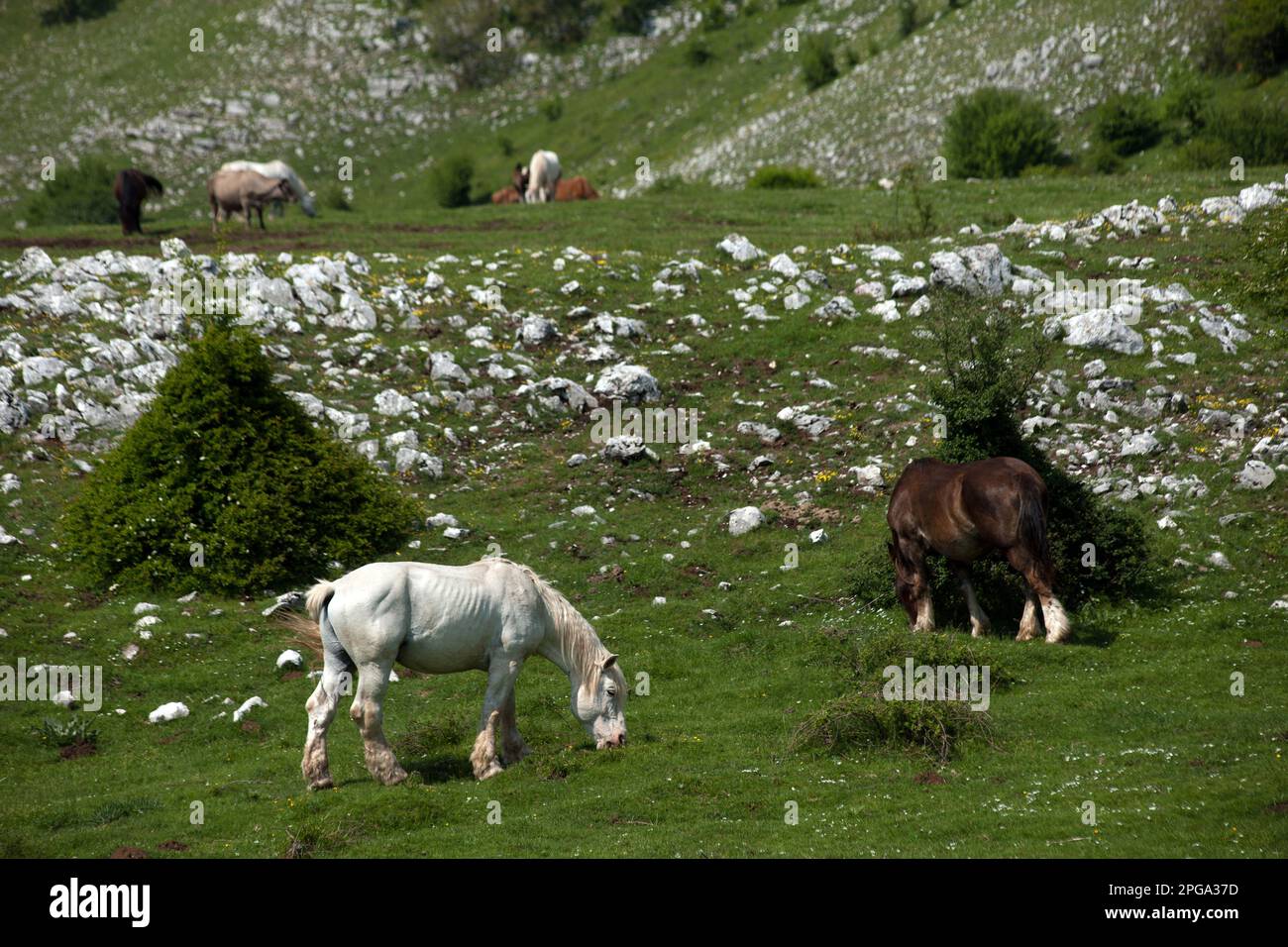 Patrimonio nazionale unesco hi-res stock photography and images - Alamy
