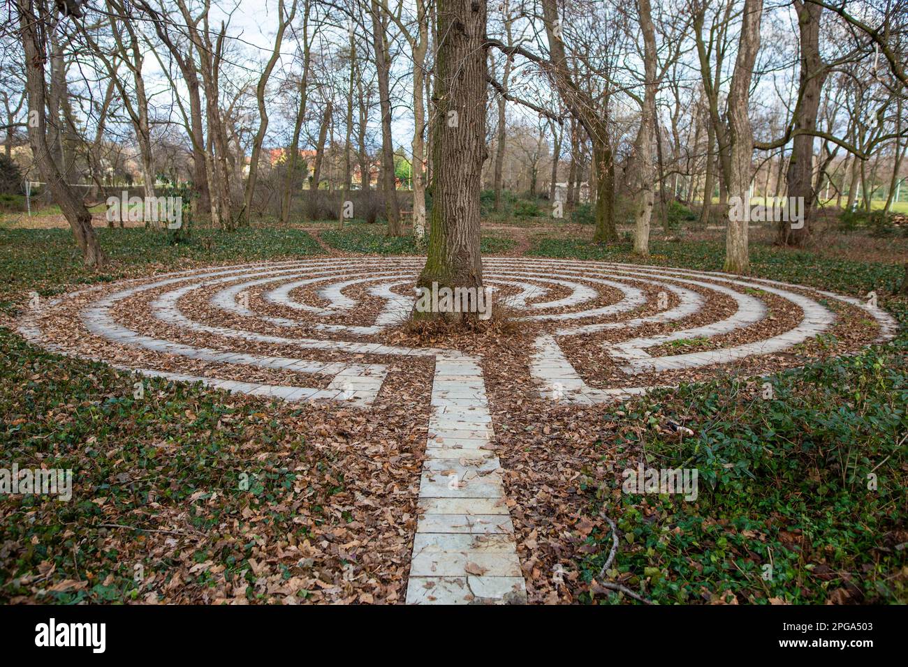 A picturesque outdoor scene of a circular maze surrounded by lush ...