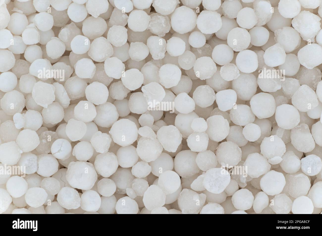 Tapioca white starch pearls microscopy detail, image width 23mm Stock Photo - Alamy