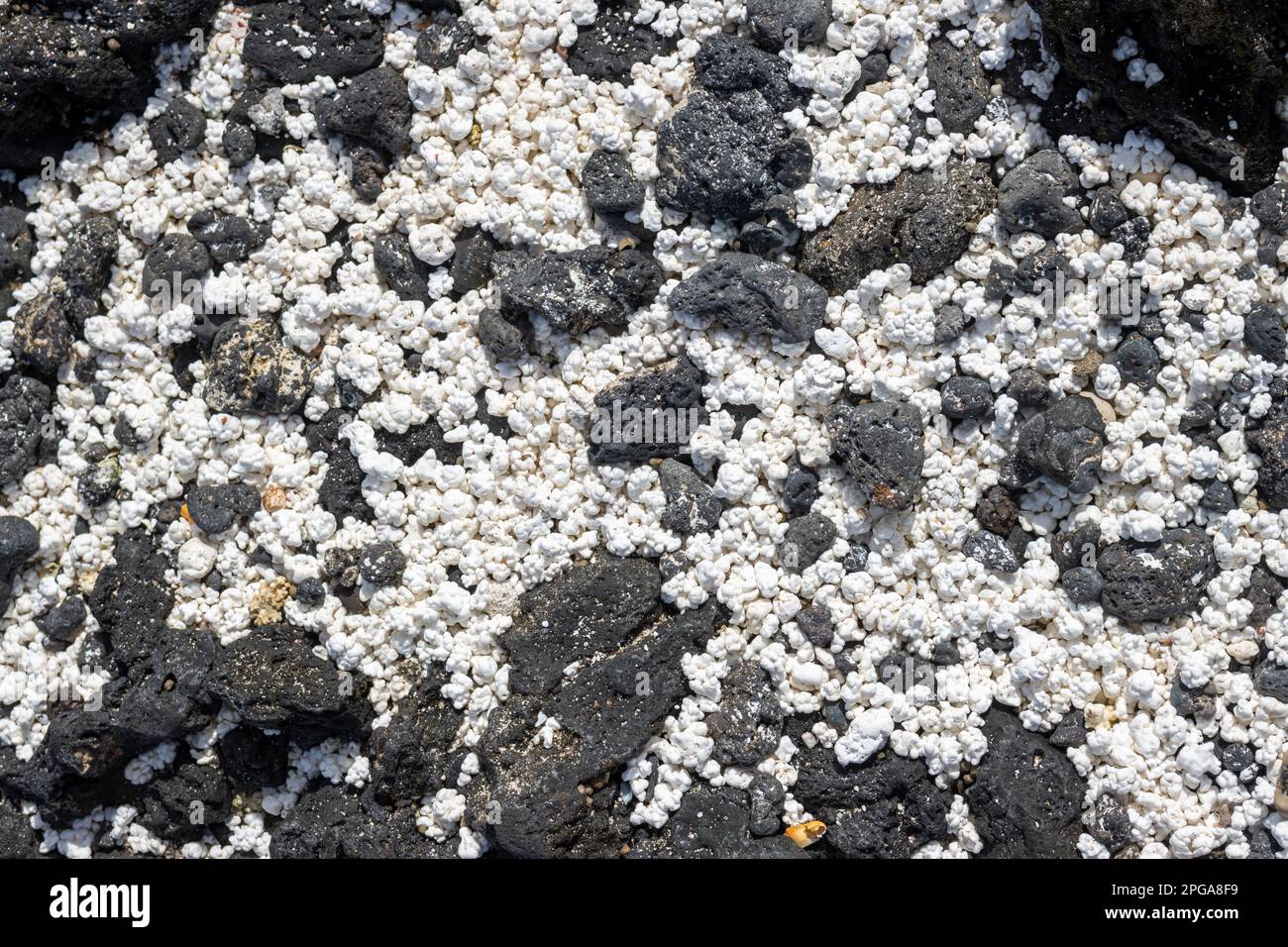 Contrast of black volcanic pebbles and white pieces of crushed corals ...