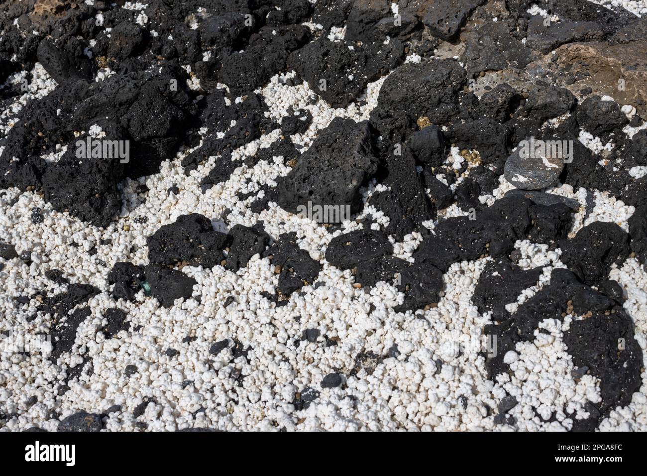 Contrast of black volcanic pebbles and white pieces of crushed corals ...