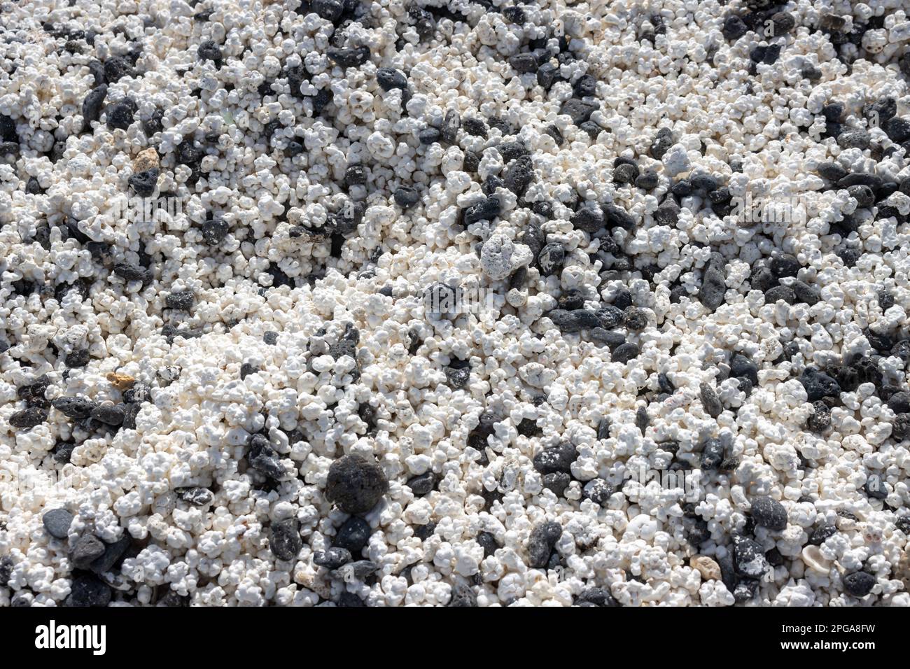 Contrast of black volcanic pebbles and white pieces of crushed corals ...