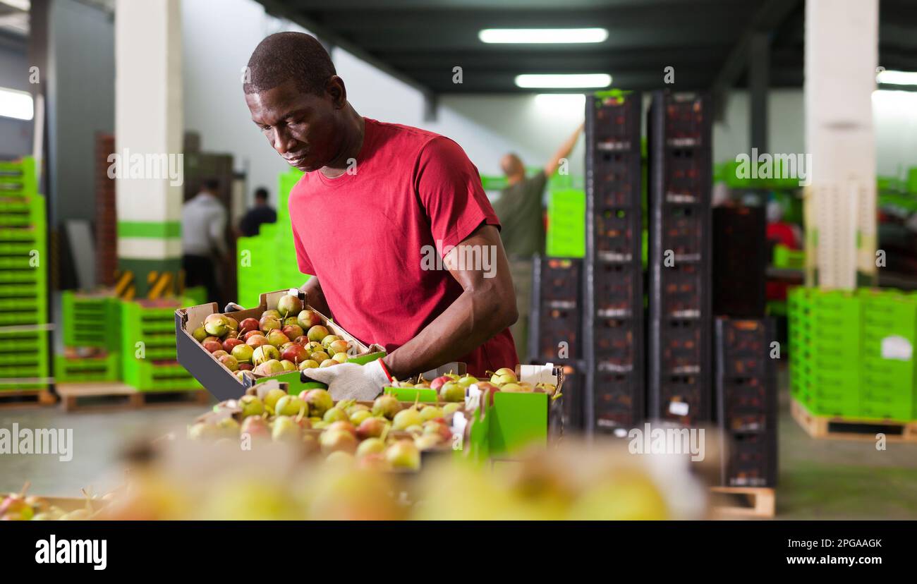 Portrait of nice African warehouse worker Stock Photo - Alamy