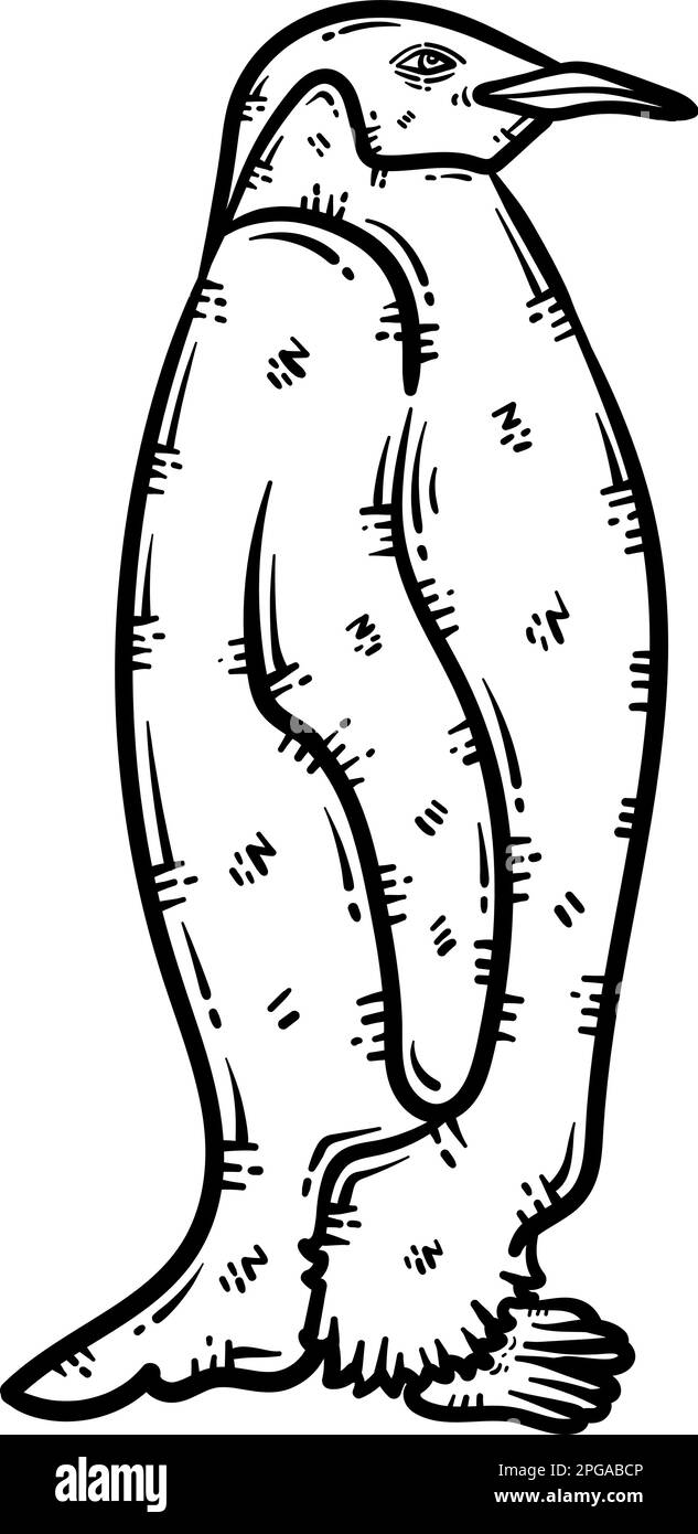 Adult penguin Cut Out Stock Images & Pictures - Alamy