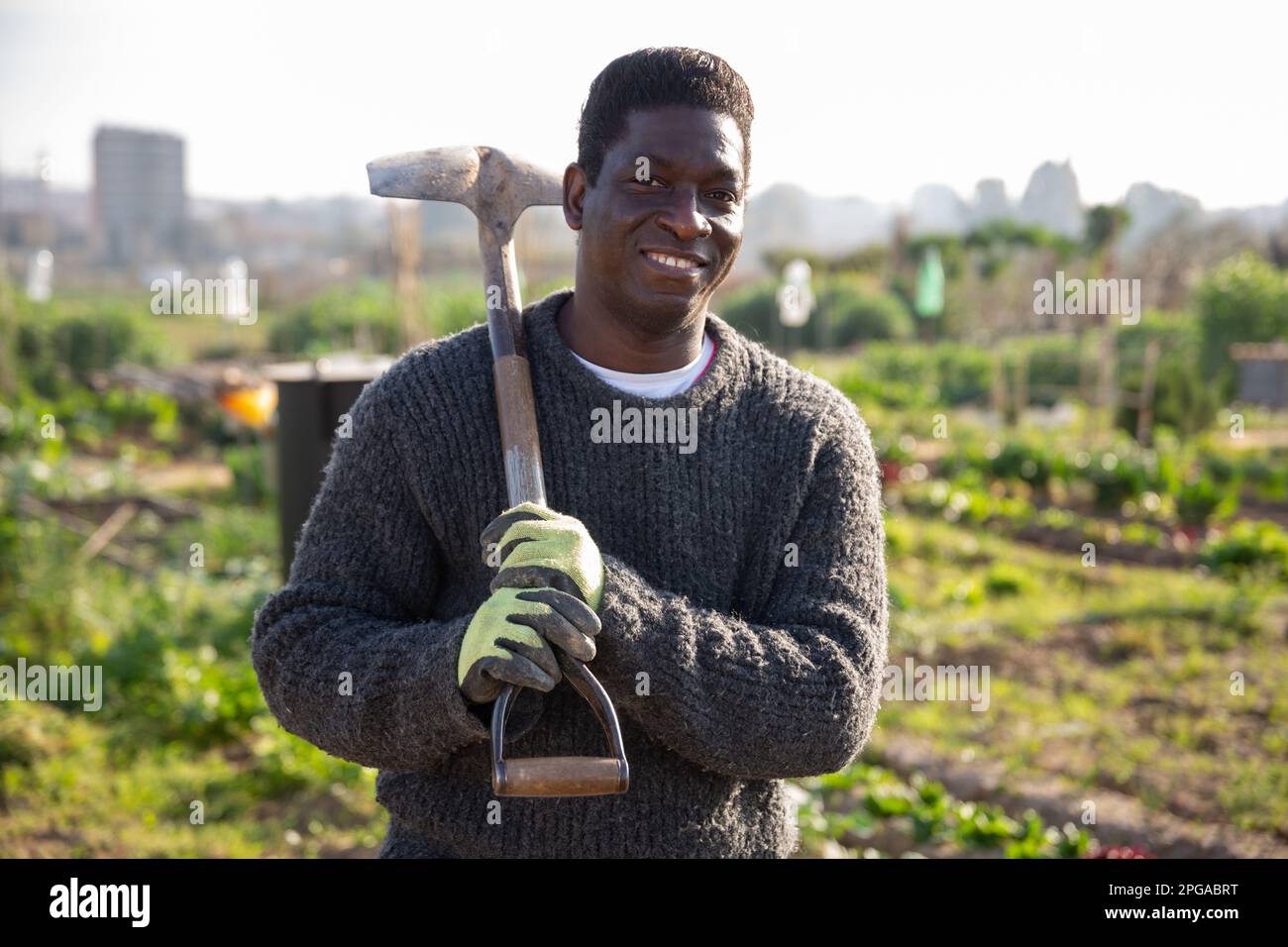 Portrait of a African American male gardener with a shovel in his hands ...