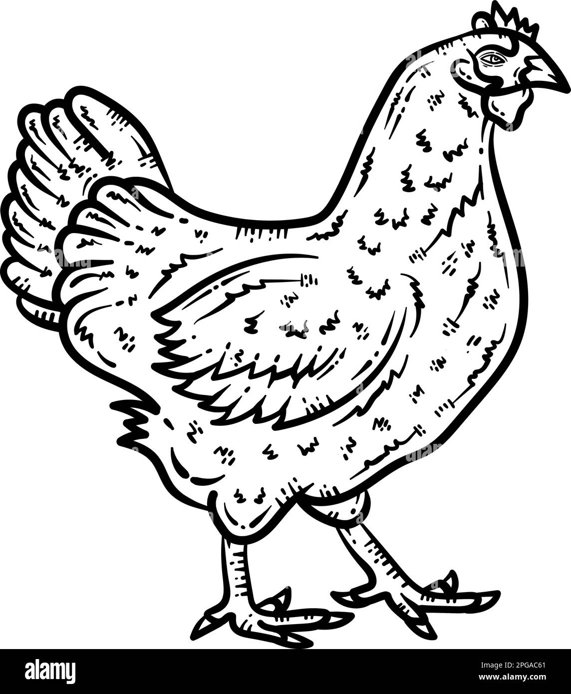 Chicken Animal Coloring Page for Adult Stock Vector Image & Art - Alamy
