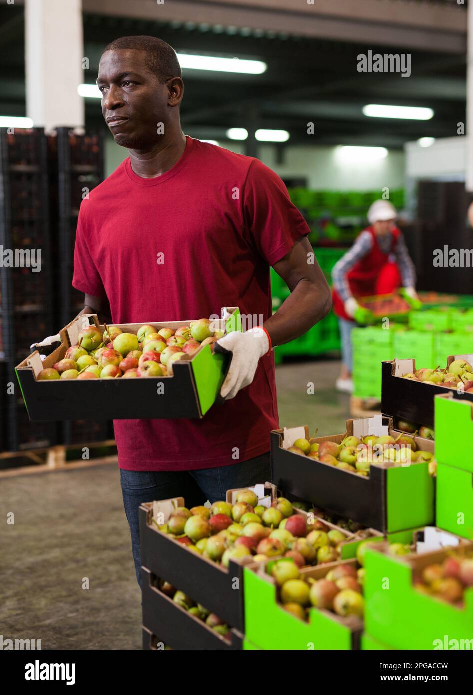 Pear storage boxes hi-res stock photography and images - Alamy