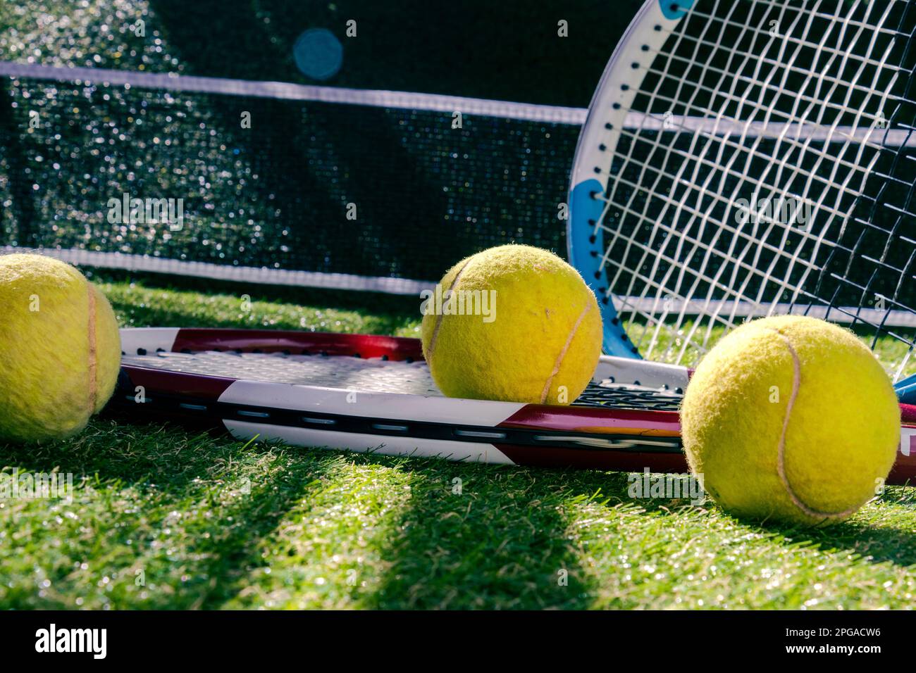 Tennis Rackets and Balls on Grass with Net Background Stock Photo - Alamy