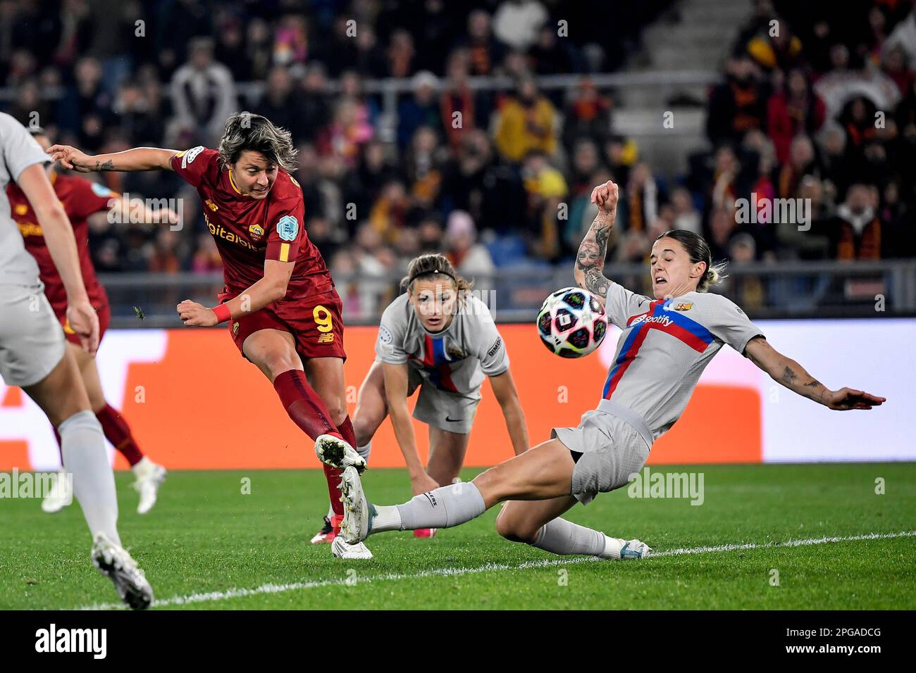 Mapi leon hi-res stock photography and images - Alamy