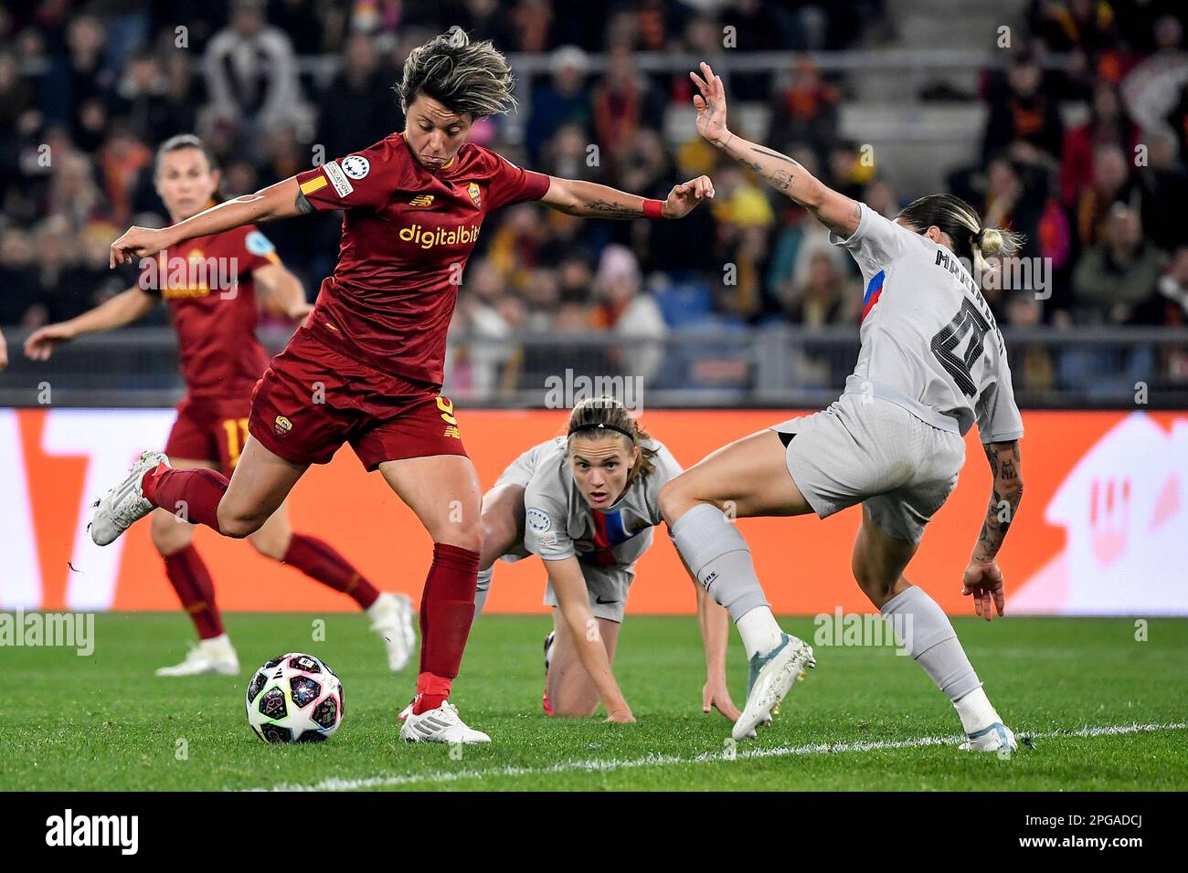 Mapi leon hi-res stock photography and images - Alamy