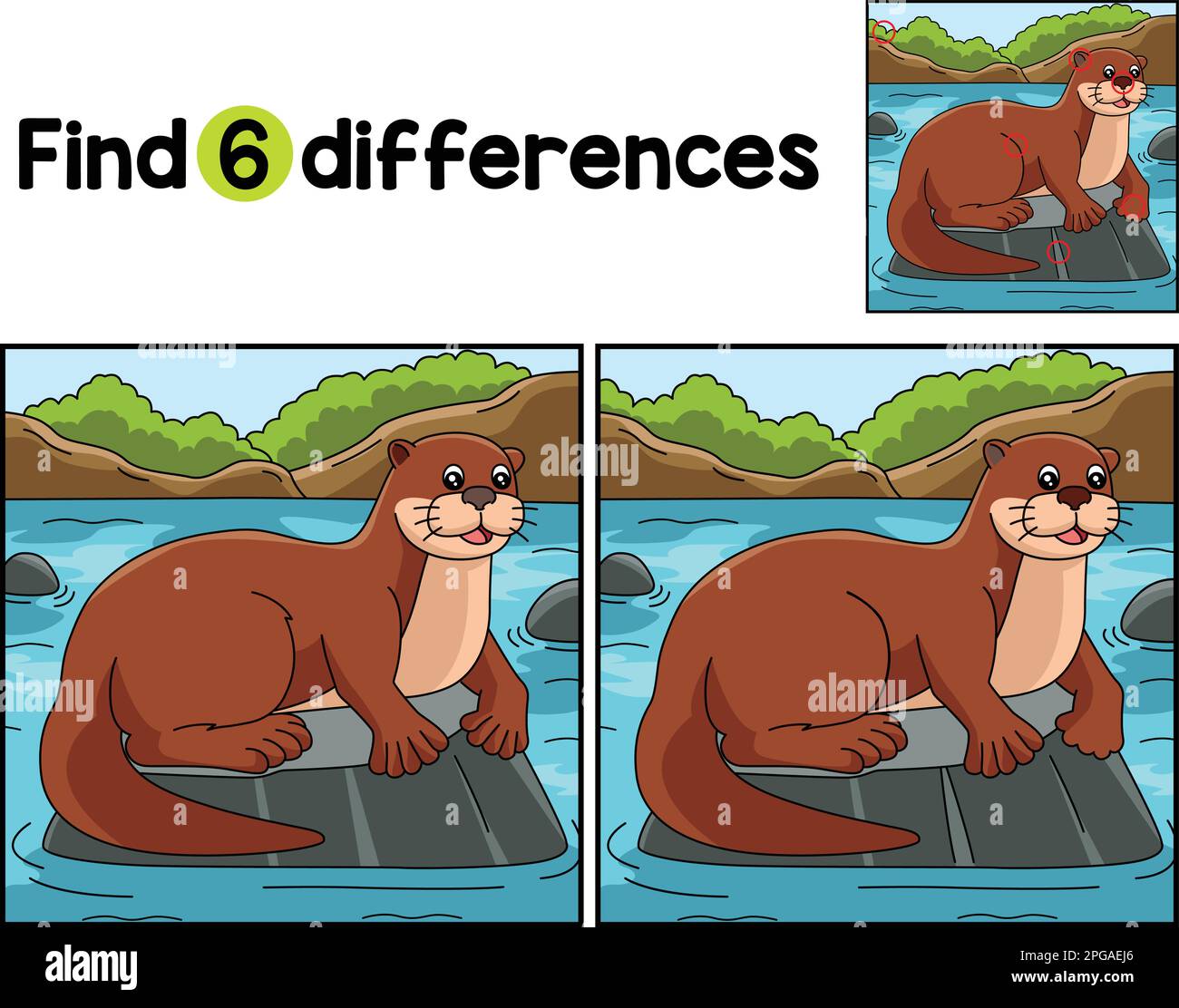 River Otter Animal Find The Differences Stock Vector Image & Art - Alamy