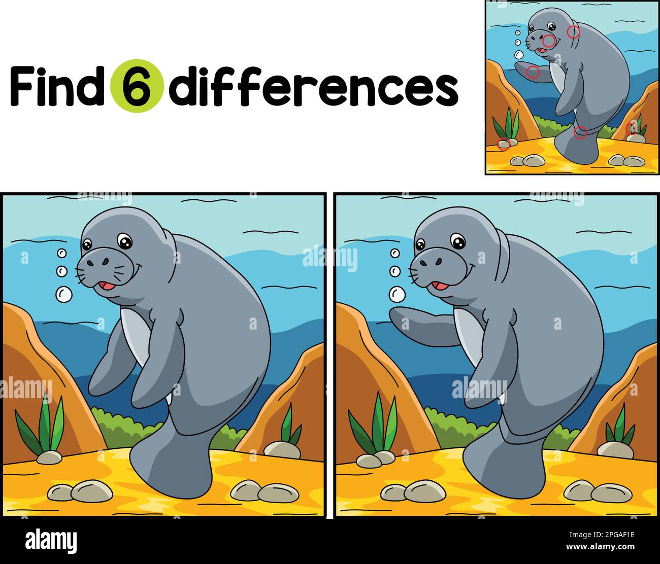 Manatee Animal Find The Differences Stock Vector Image & Art - Alamy