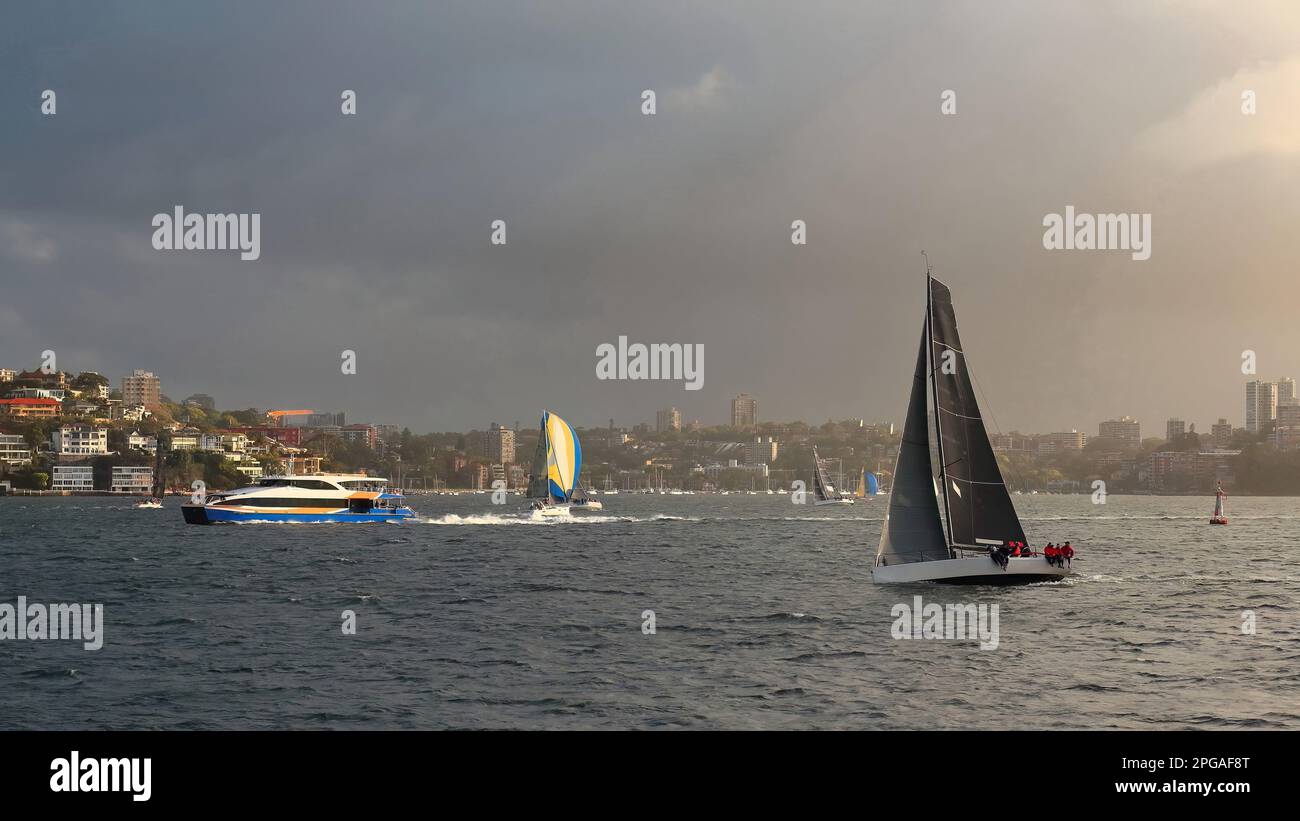 Point piper double bay hi-res stock photography and images - Alamy