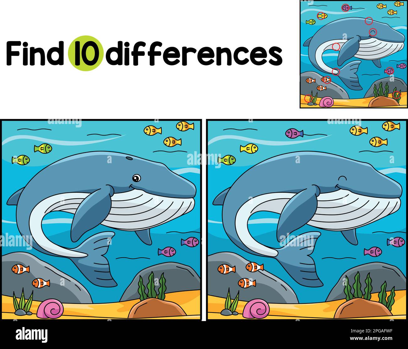Blue Whale Animal Find The Differences Stock Vector Image & Art - Alamy