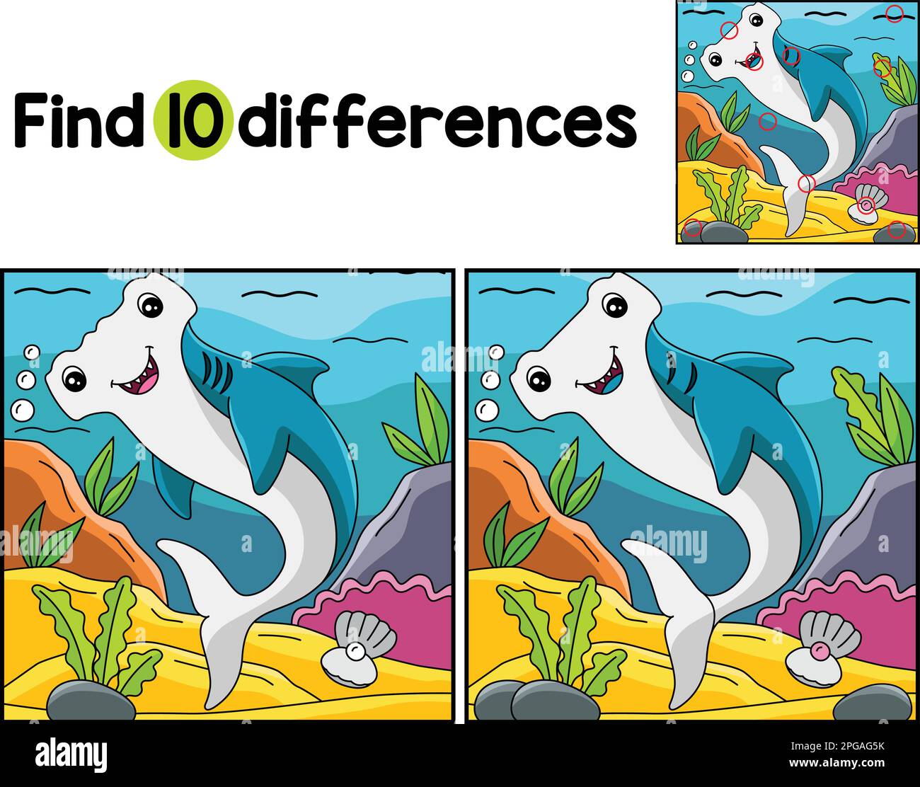 Hammerhead Shark Animal Find The Differences Stock Vector Image & Art ...