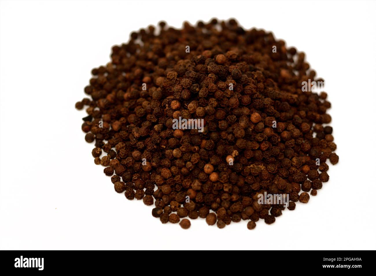 Piperaceae pepper family Cut Out Stock Images & Pictures - Alamy
