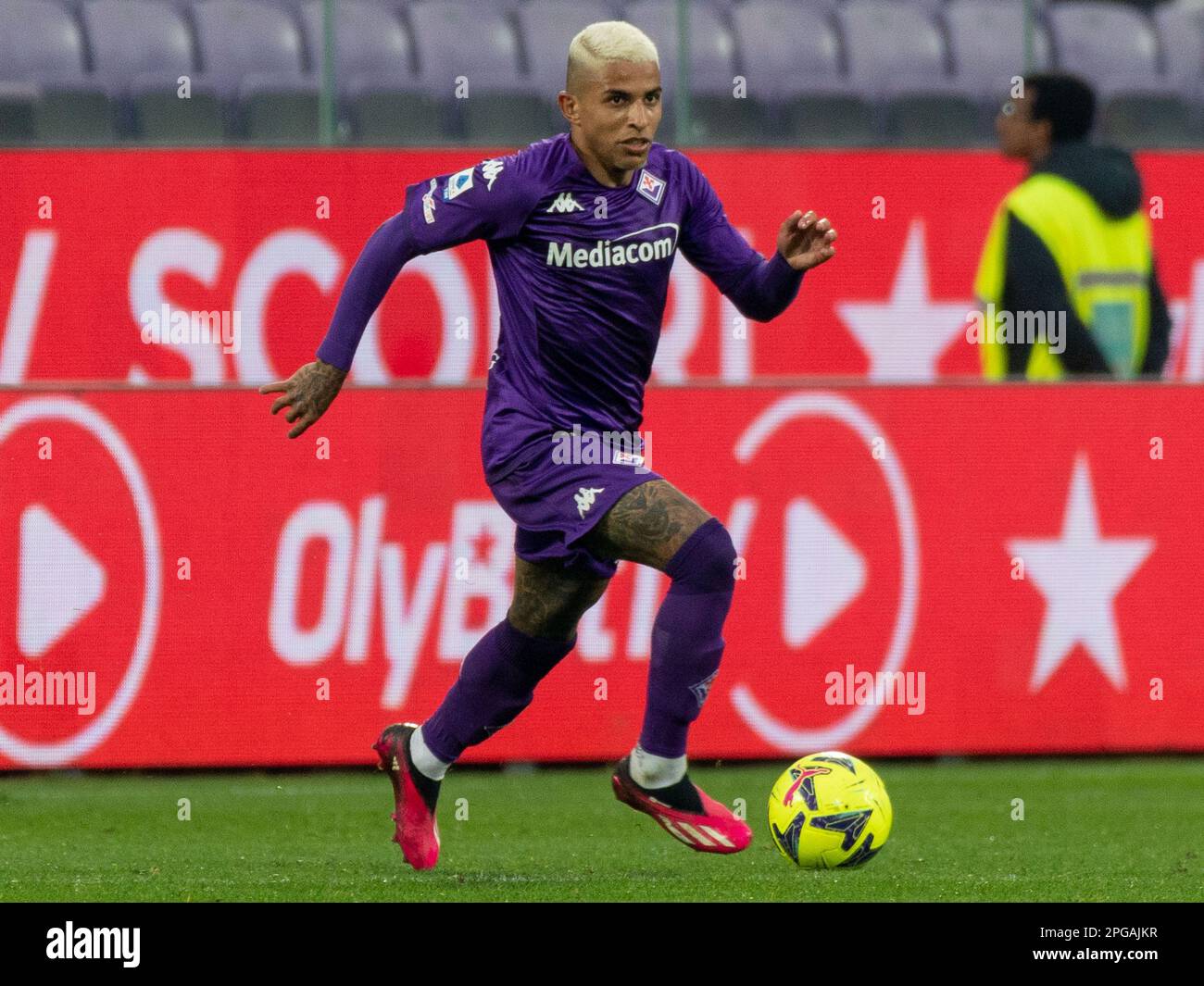 Lecce dodo hi-res stock photography and images - Alamy