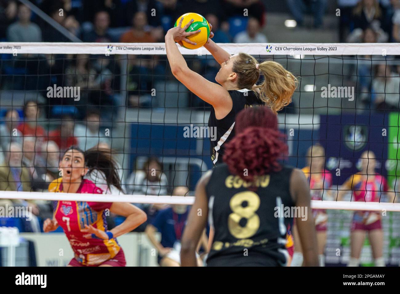 Cansu Özbay (Vakifbank Istanbul) in action Stock Photo - Alamy
