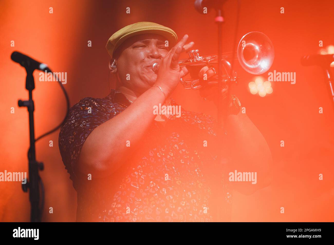 Australian rock star hi-res stock photography and images - Alamy