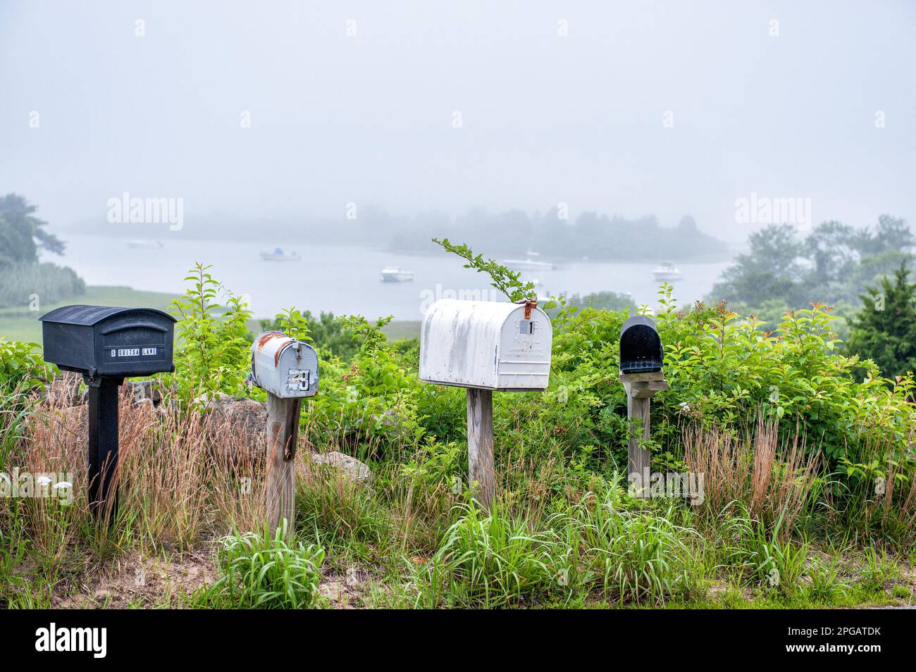 Traditional mailboxes in front of Menemsha Pond during a foggy summer ...
