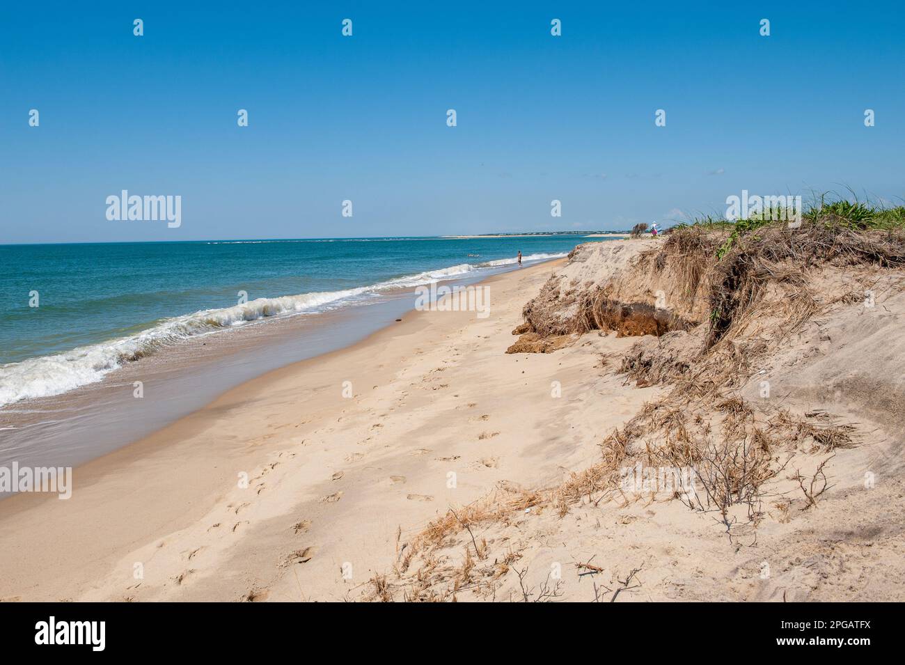 Wasque beach during summer in Chappaquiddick Island, MA, USA Stock ...