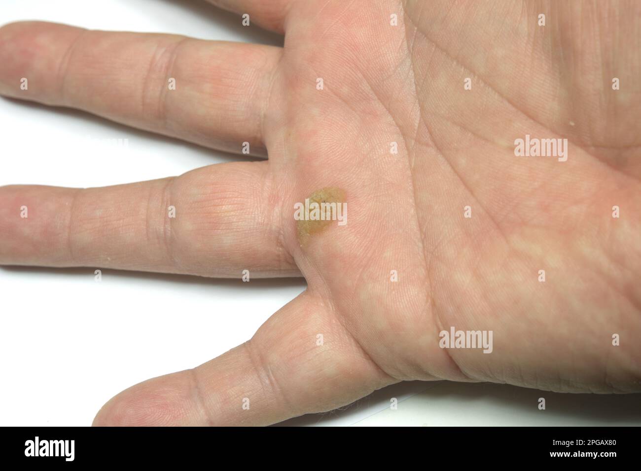 29 years old hi-res stock photography and images - Alamy