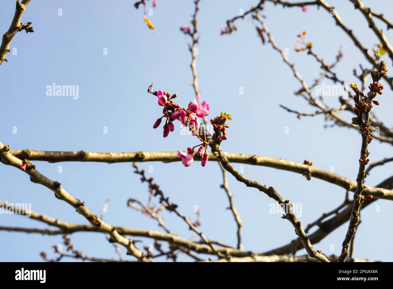 Borning hi-res stock photography and images - Alamy