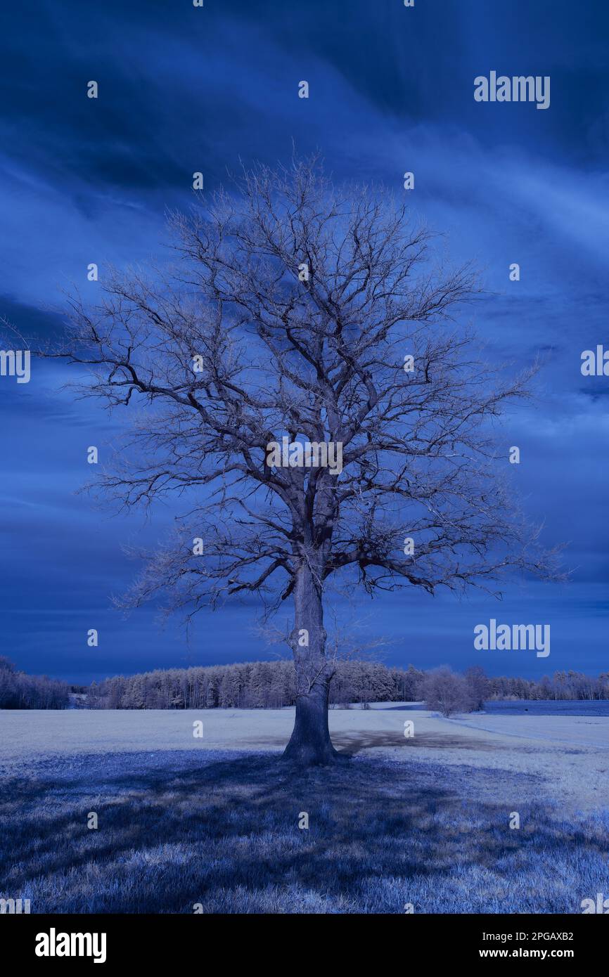 infrared photography - ir photo of landscape under sky with clouds ...