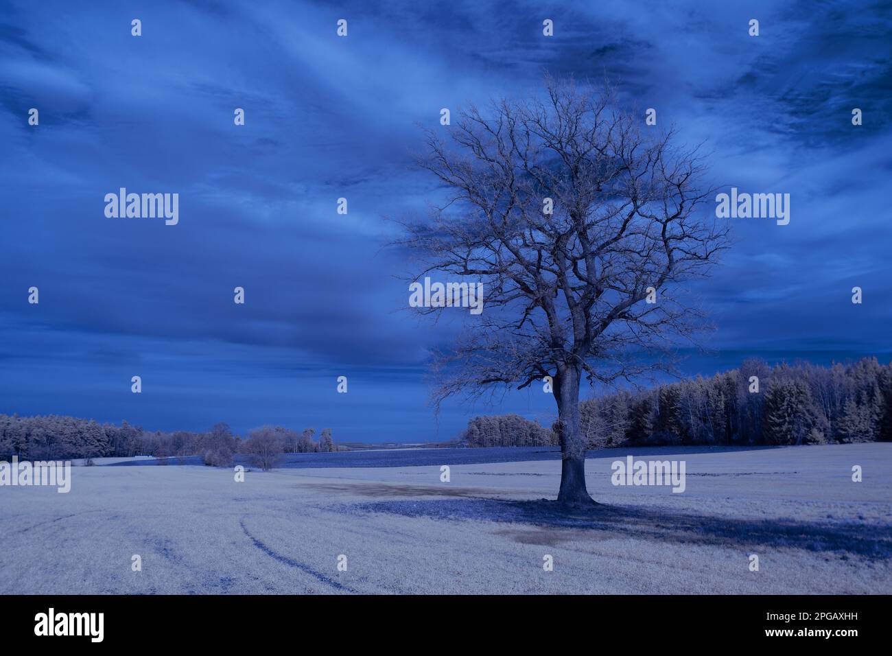 infrared photography - ir photo of landscape under sky with clouds ...