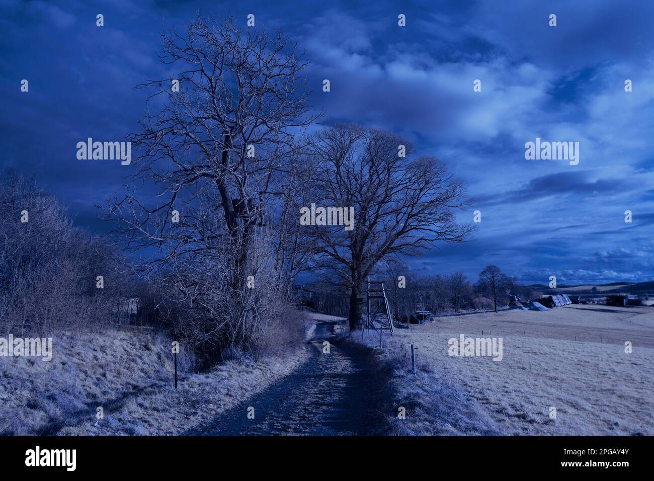infrared photography - ir photo of landscape under sky with clouds ...