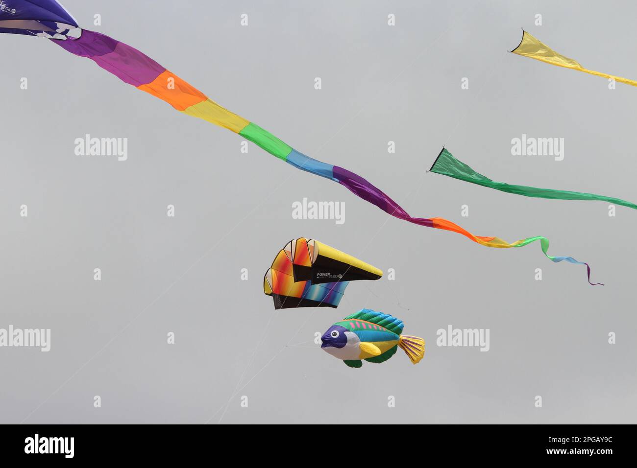 Baron berkeley hi-res stock photography and images - Alamy