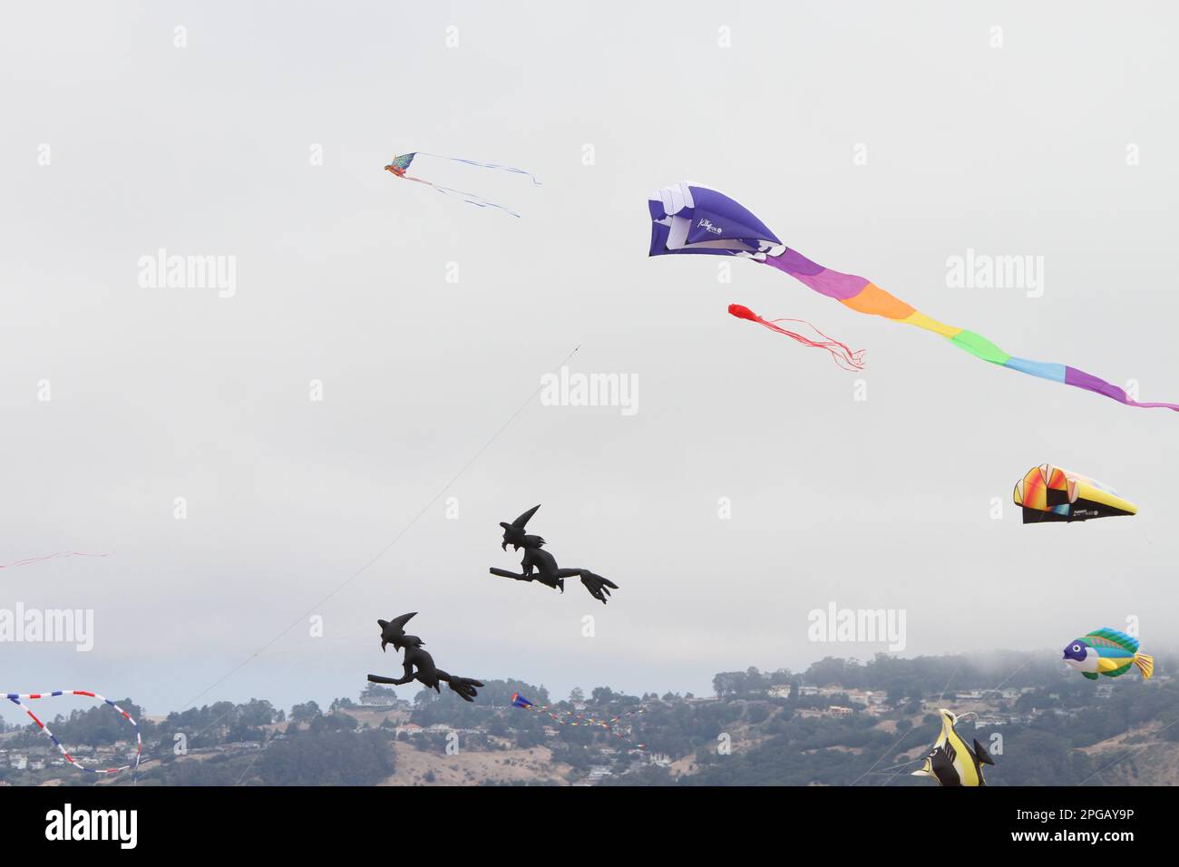 Baron berkeley hi-res stock photography and images - Alamy