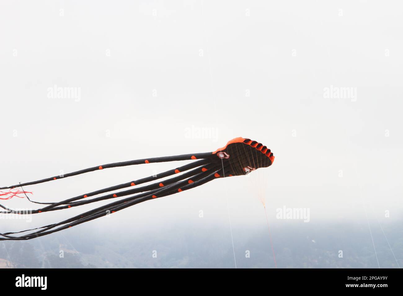 Baron berkeley hi-res stock photography and images - Alamy