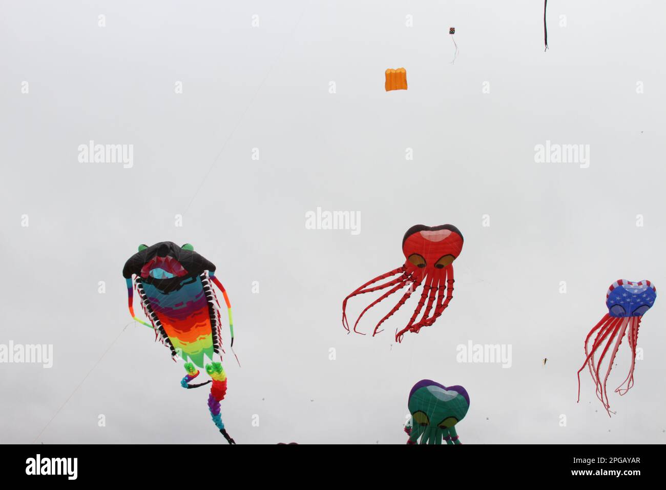 Baron berkeley hi-res stock photography and images - Alamy