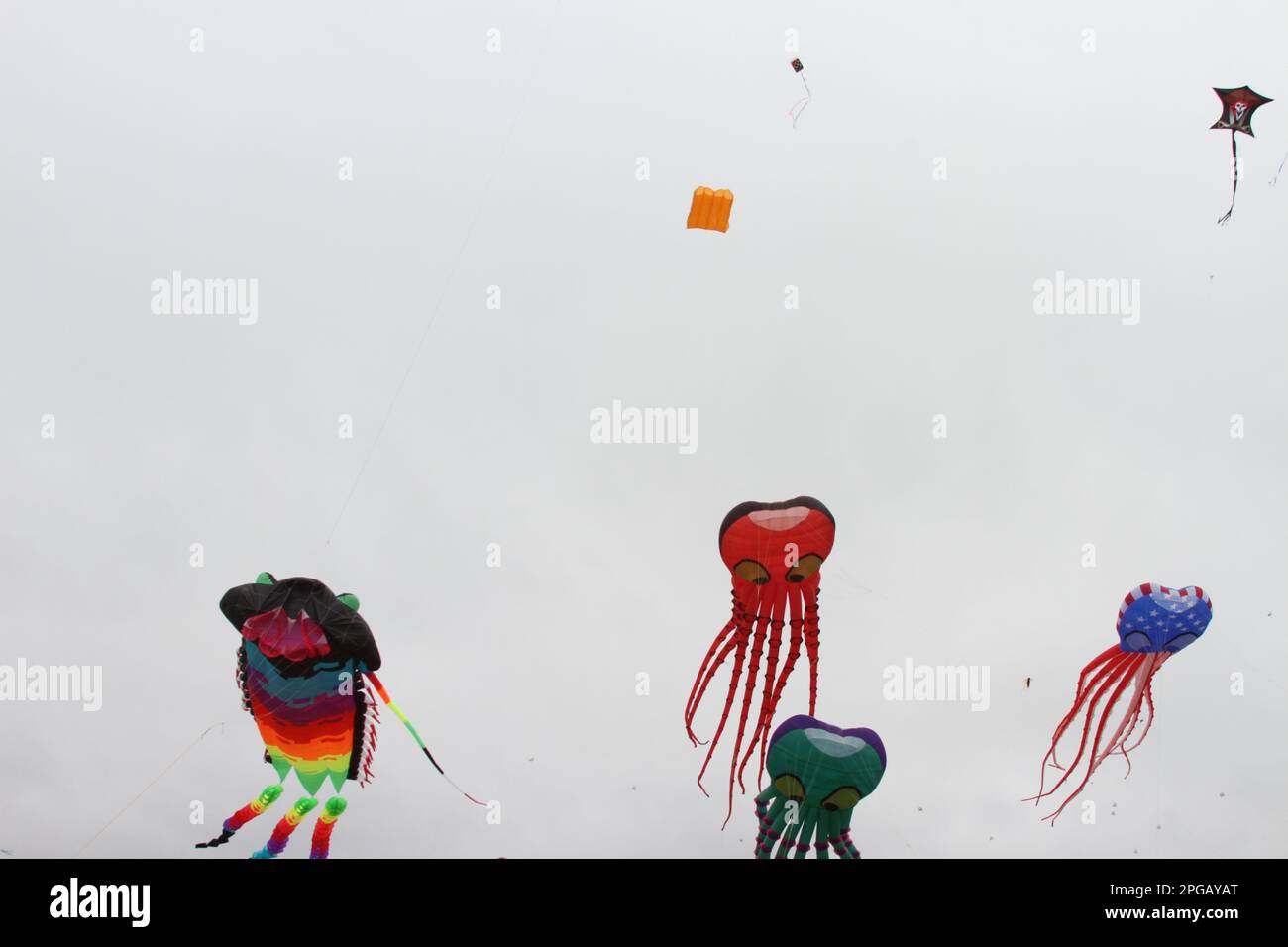 Baron berkeley hi-res stock photography and images - Alamy