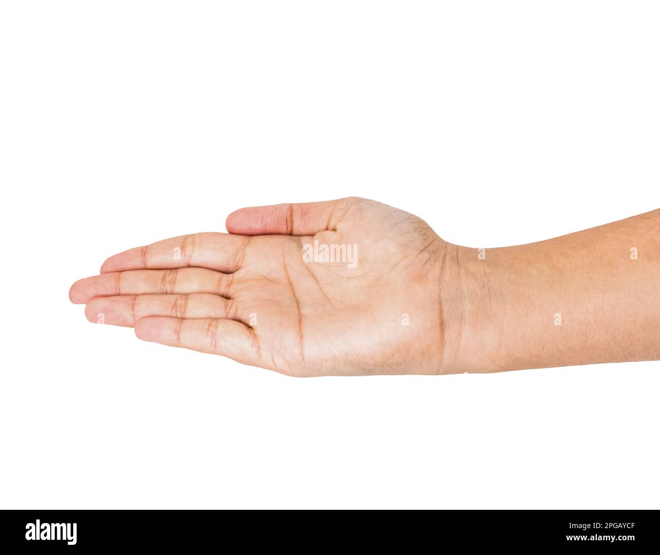 Empty Hand Isolated Stock Photo - Alamy