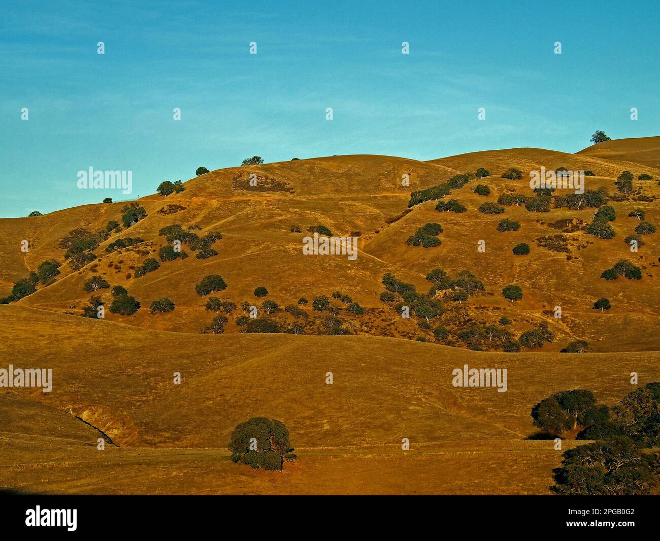 dry season of California Stock Photo - Alamy