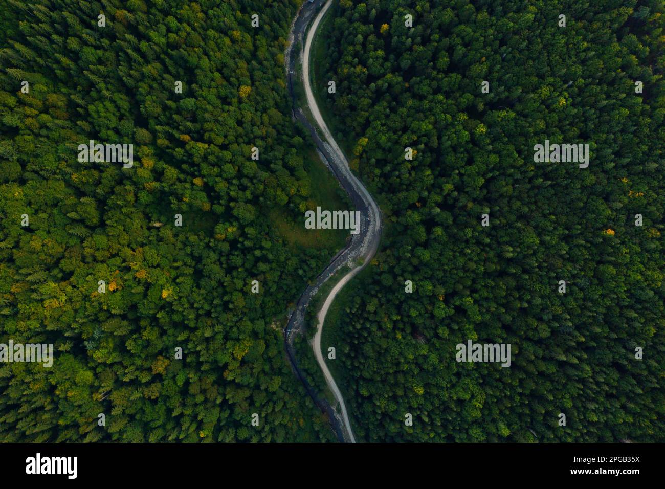 Asphalt road surrounded green trees hi-res stock photography and images ...