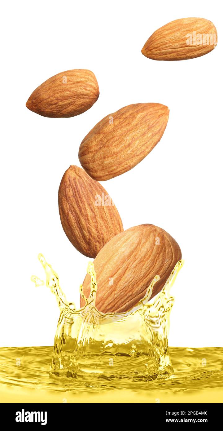 Tasty nuts falling into organic almond oil on white background ...