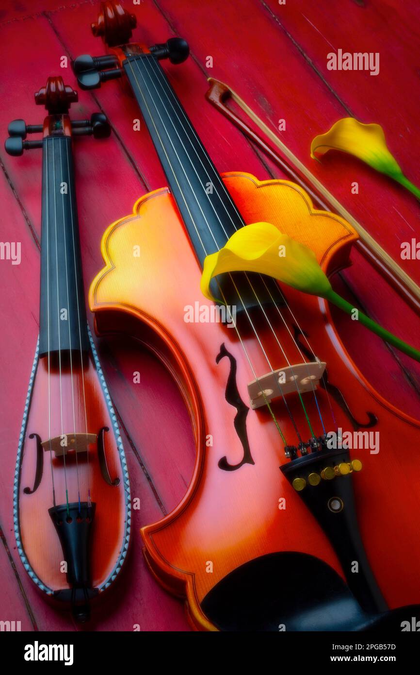 String lilies hi-res stock photography and images - Alamy