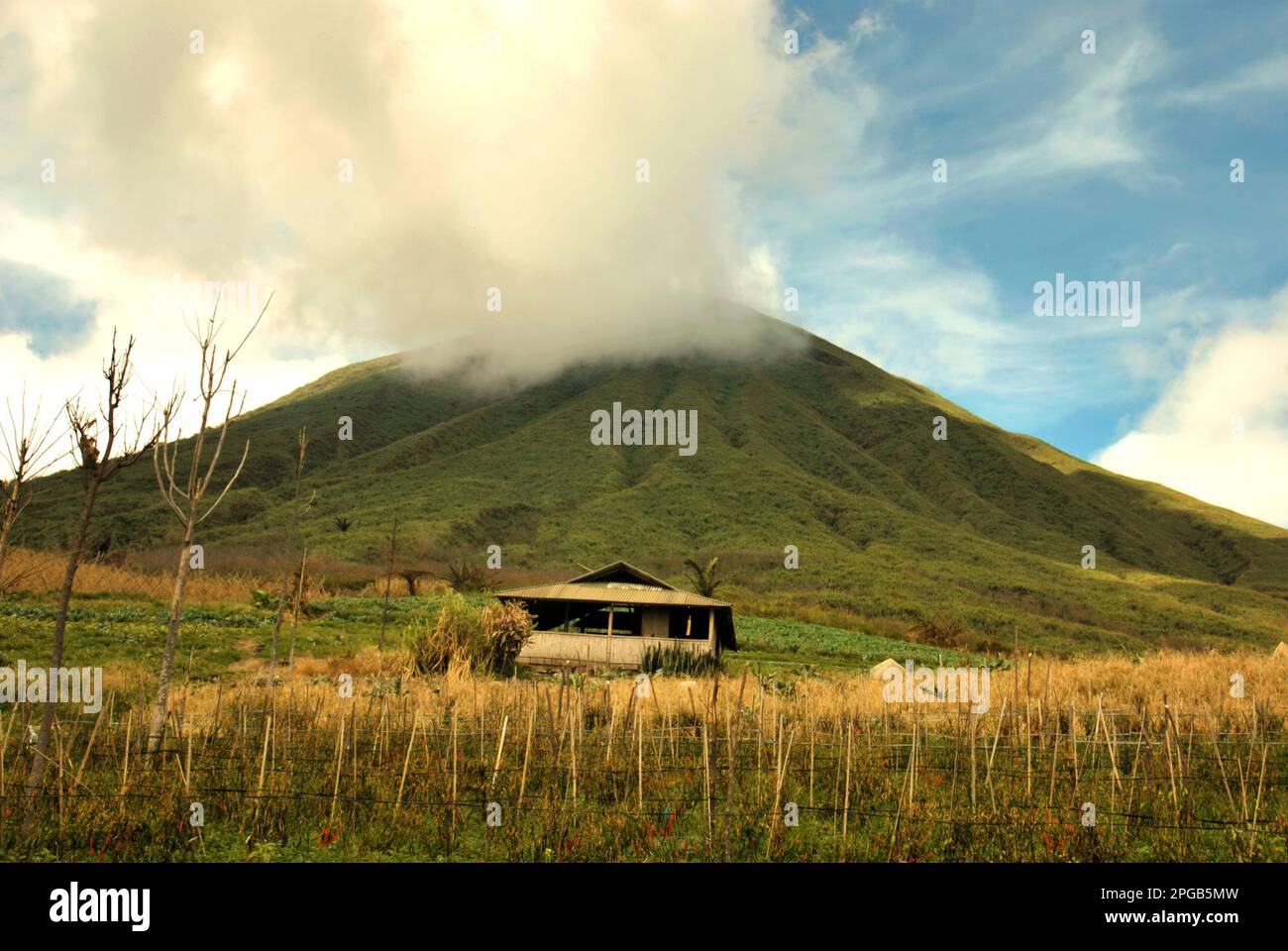 Agricultural field and a wooden building on the slope of Mount Lokon ...