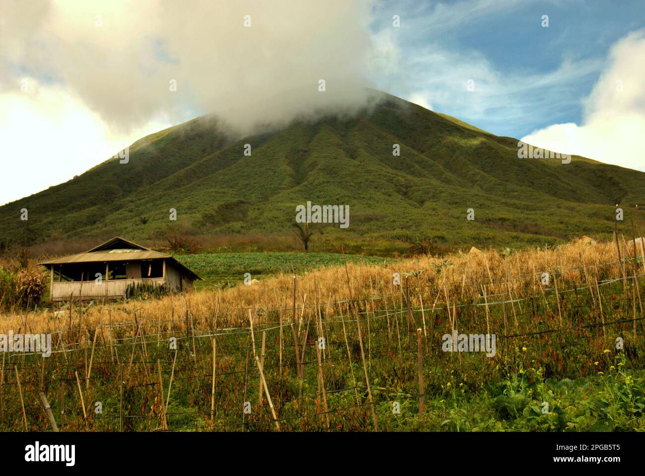 Agricultural field and a wooden building on the slope of Mount Lokon ...