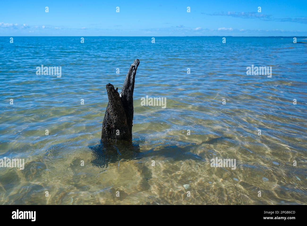 Water swirls hi-res stock photography and images - Alamy